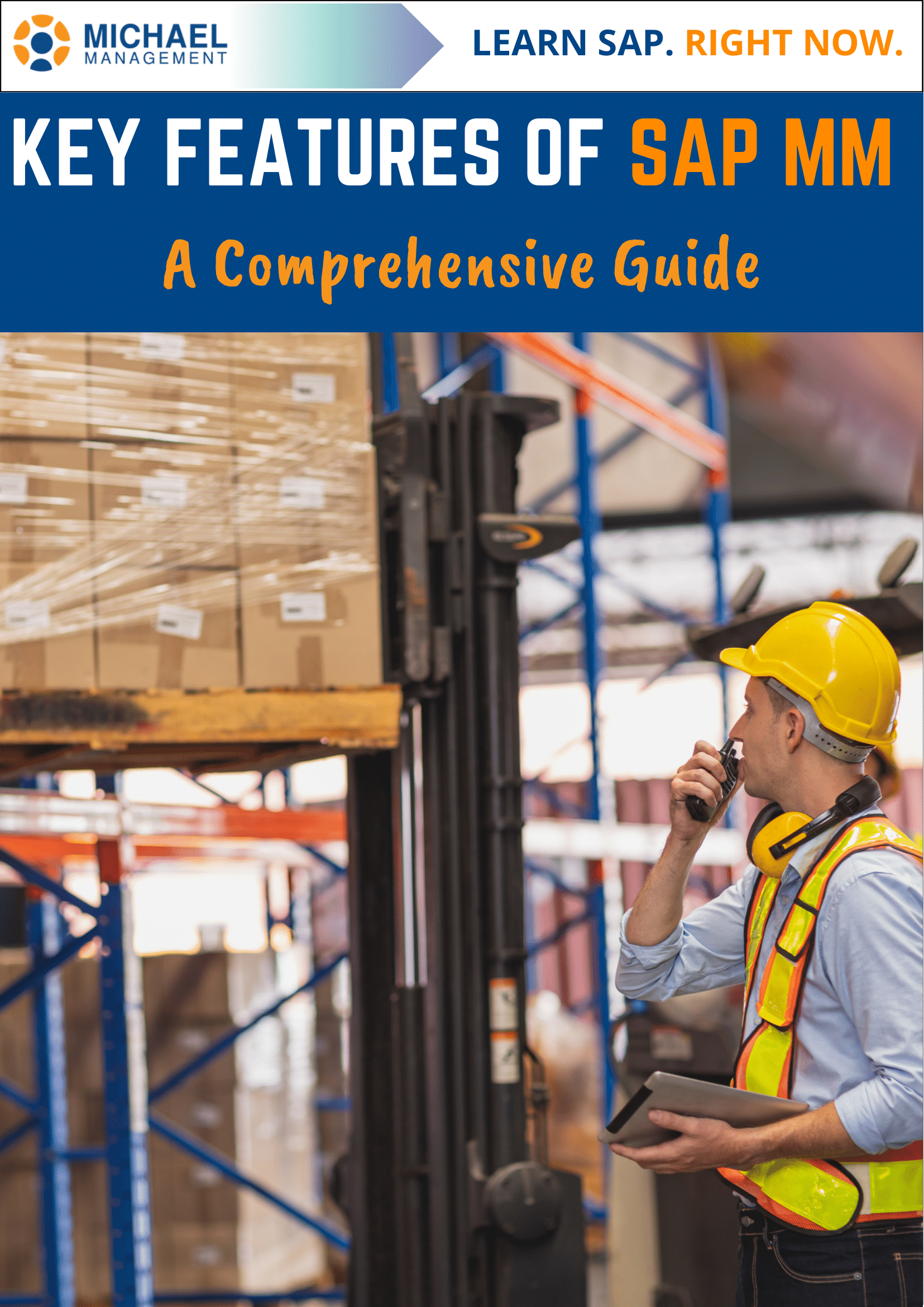 Optimize Your Supply Chain with SAP MM