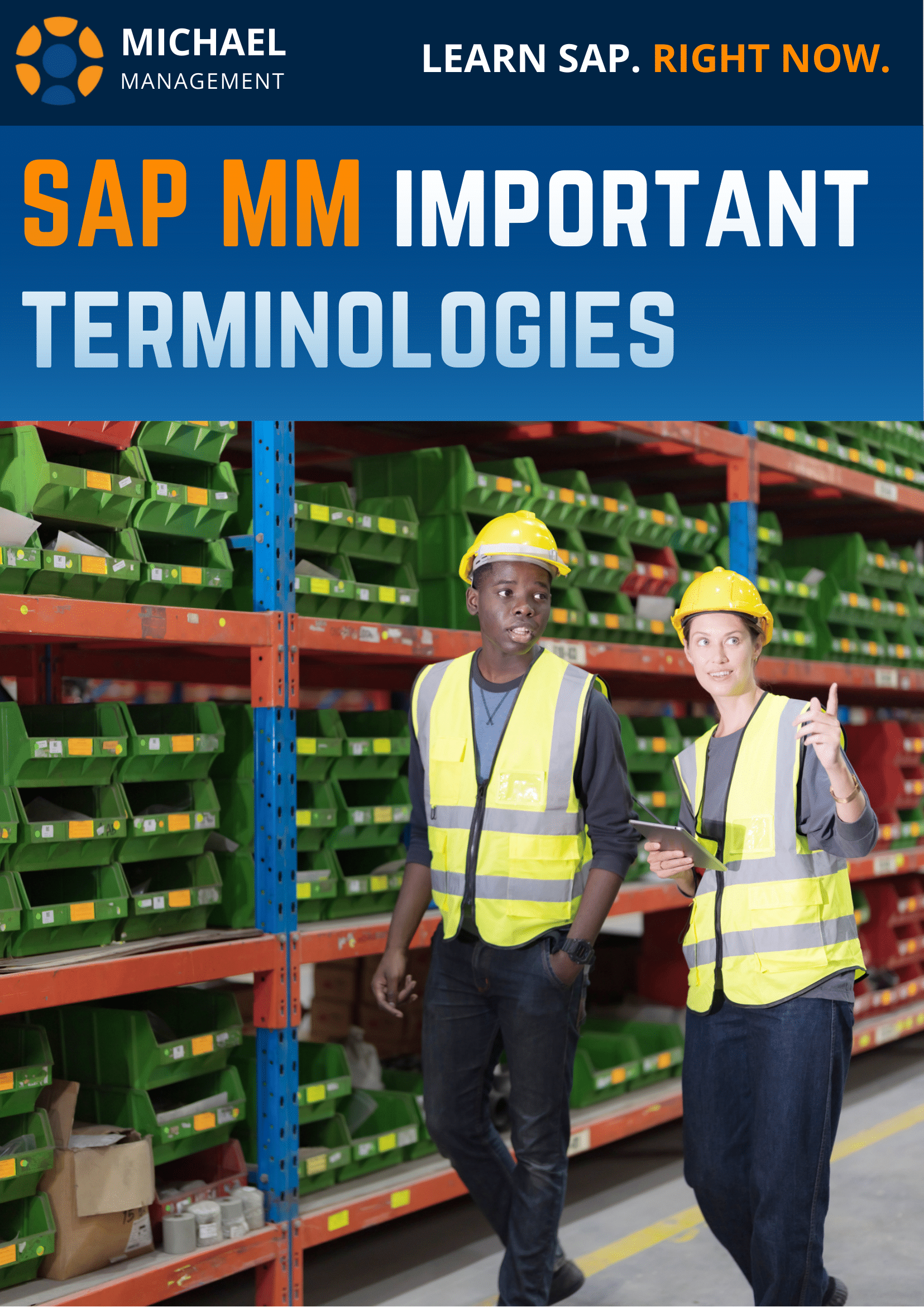Dive into key SAP Materials Management terminologies now!